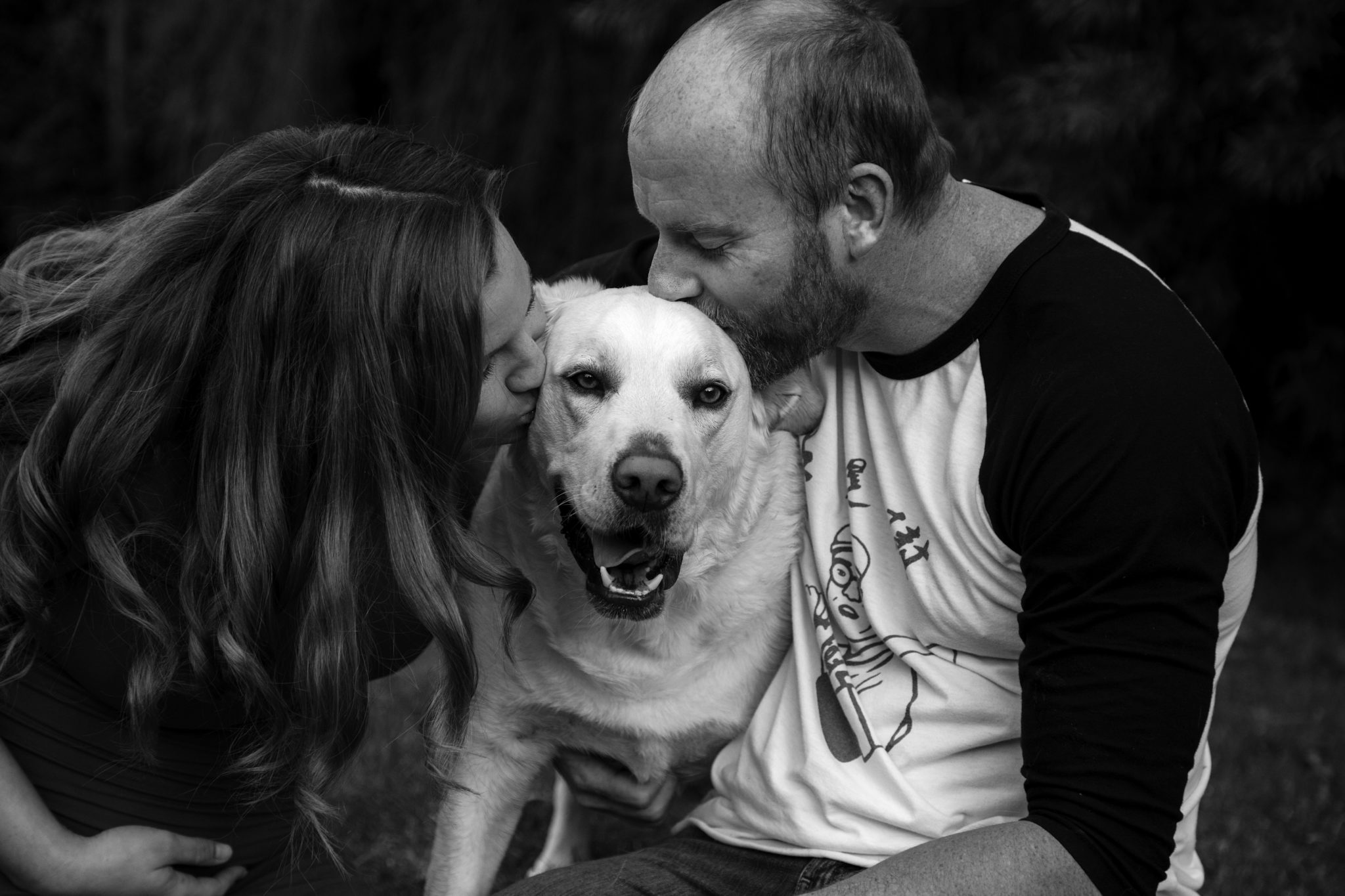 The Power of Pets: The positive impact of pets on health and ...